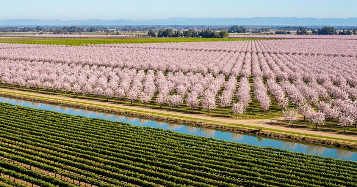 Modesto Car Rentals from $42/day