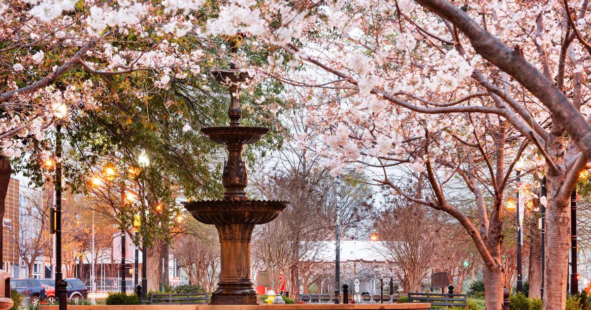 Macon Car Rentals from $36/day