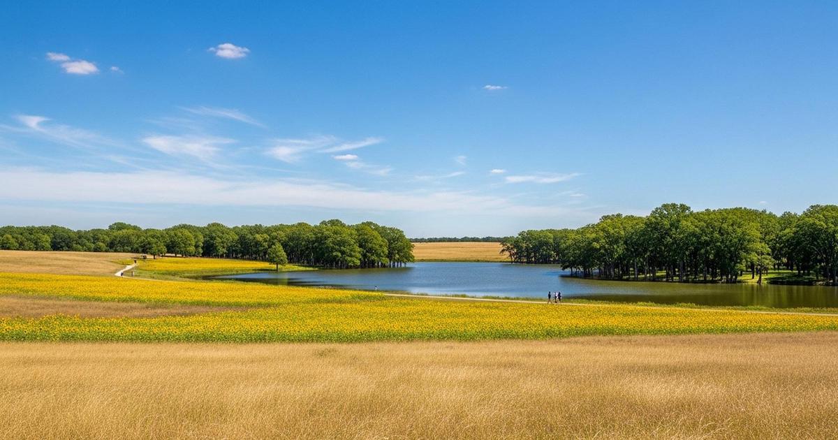 Hotel Deals in Plano - Book Now from $49/night